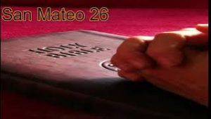 Mateo: 26